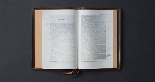 Leather Bible - Chapter House Leather