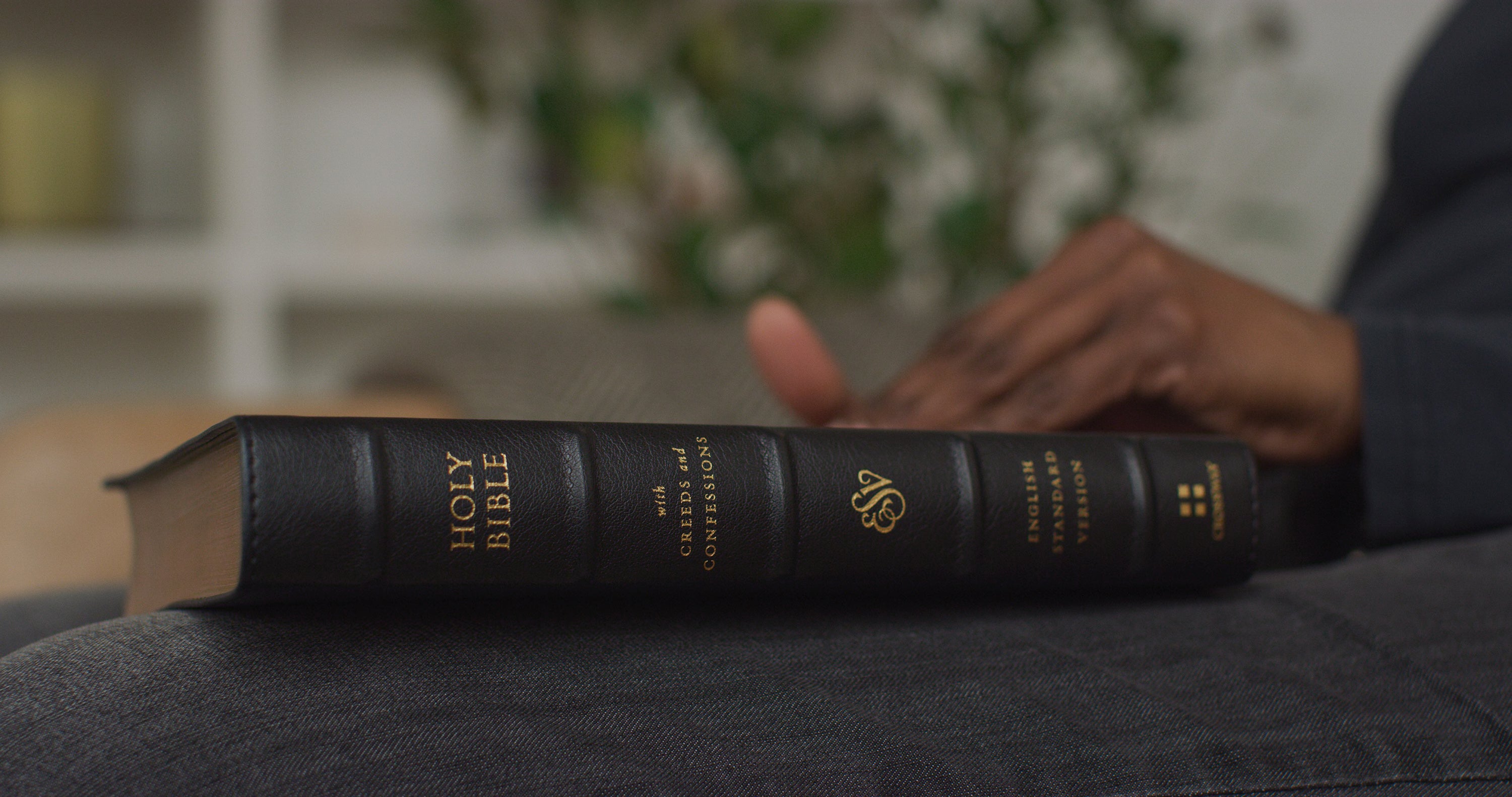 ESV Bible with Creeds and Confessions - Chapter House Leather